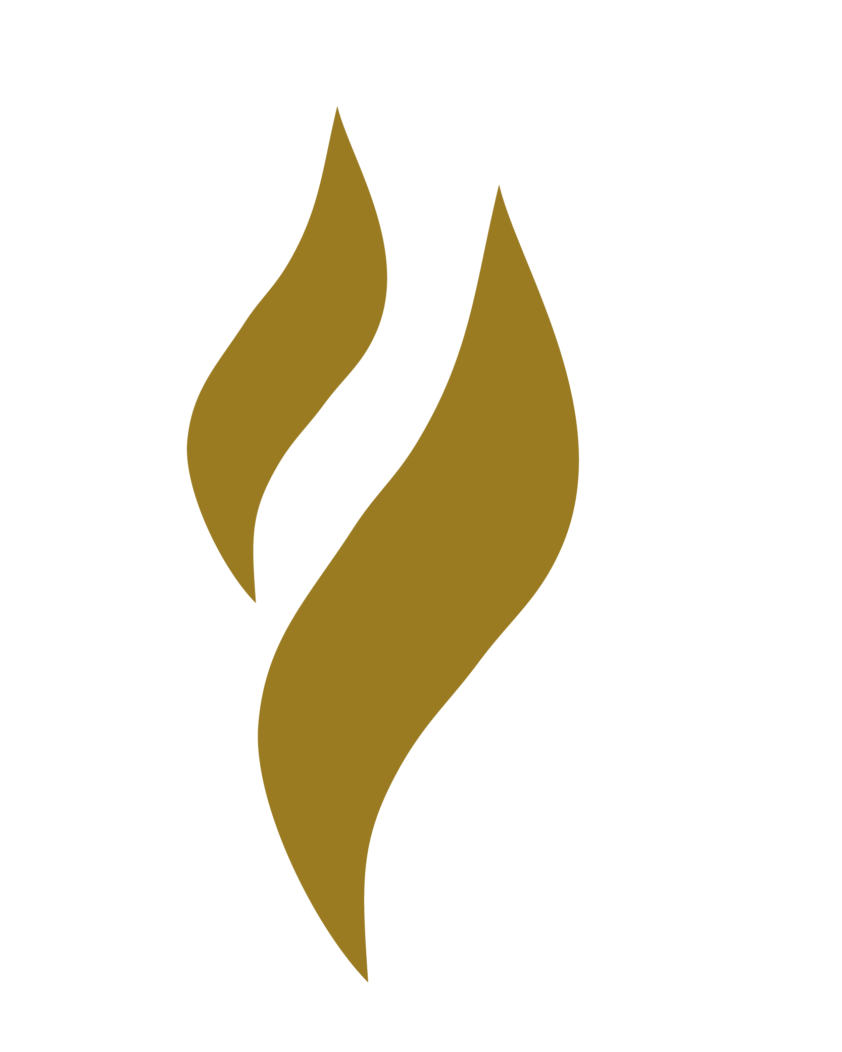 Home - CETYS Universidad