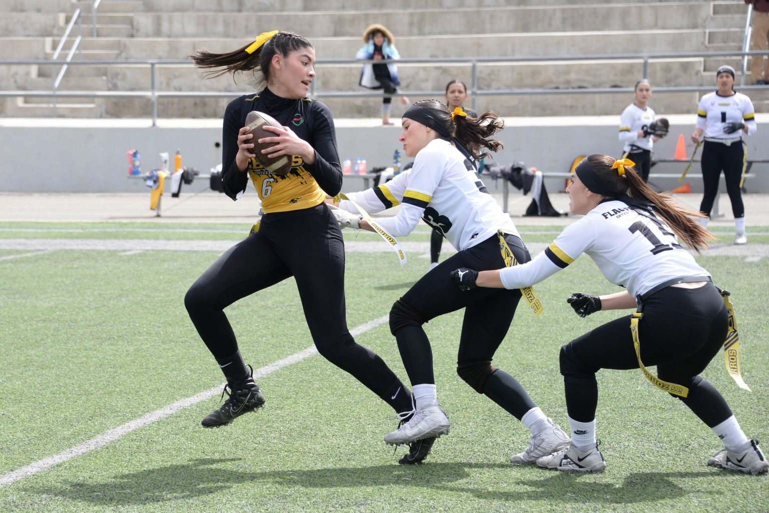 Definen Zorros de Flag Femenil representación para la Universiada ...