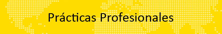 Prácticas Profesionales